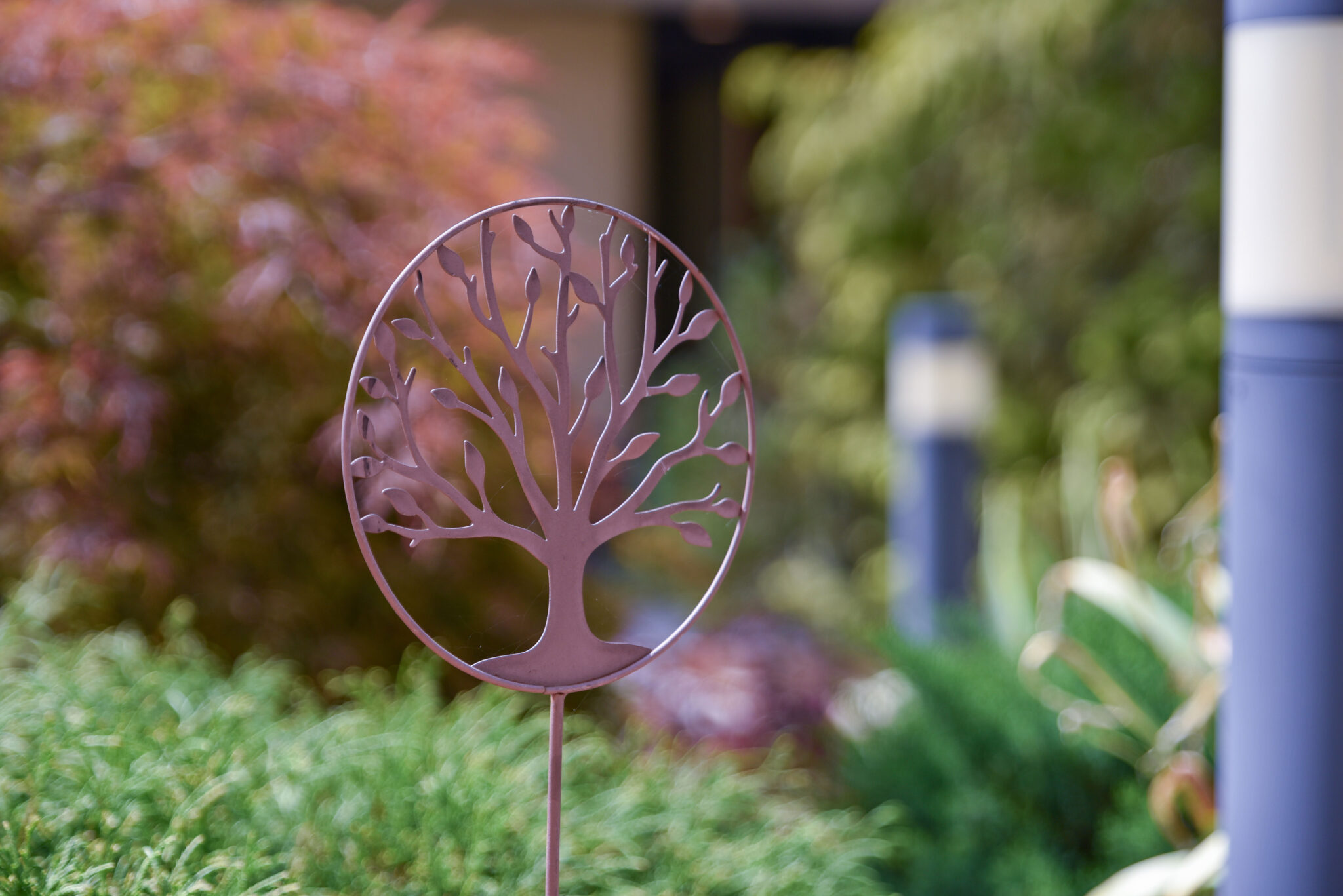 Foyer Ste Elisabeth - Senior Elisabeth