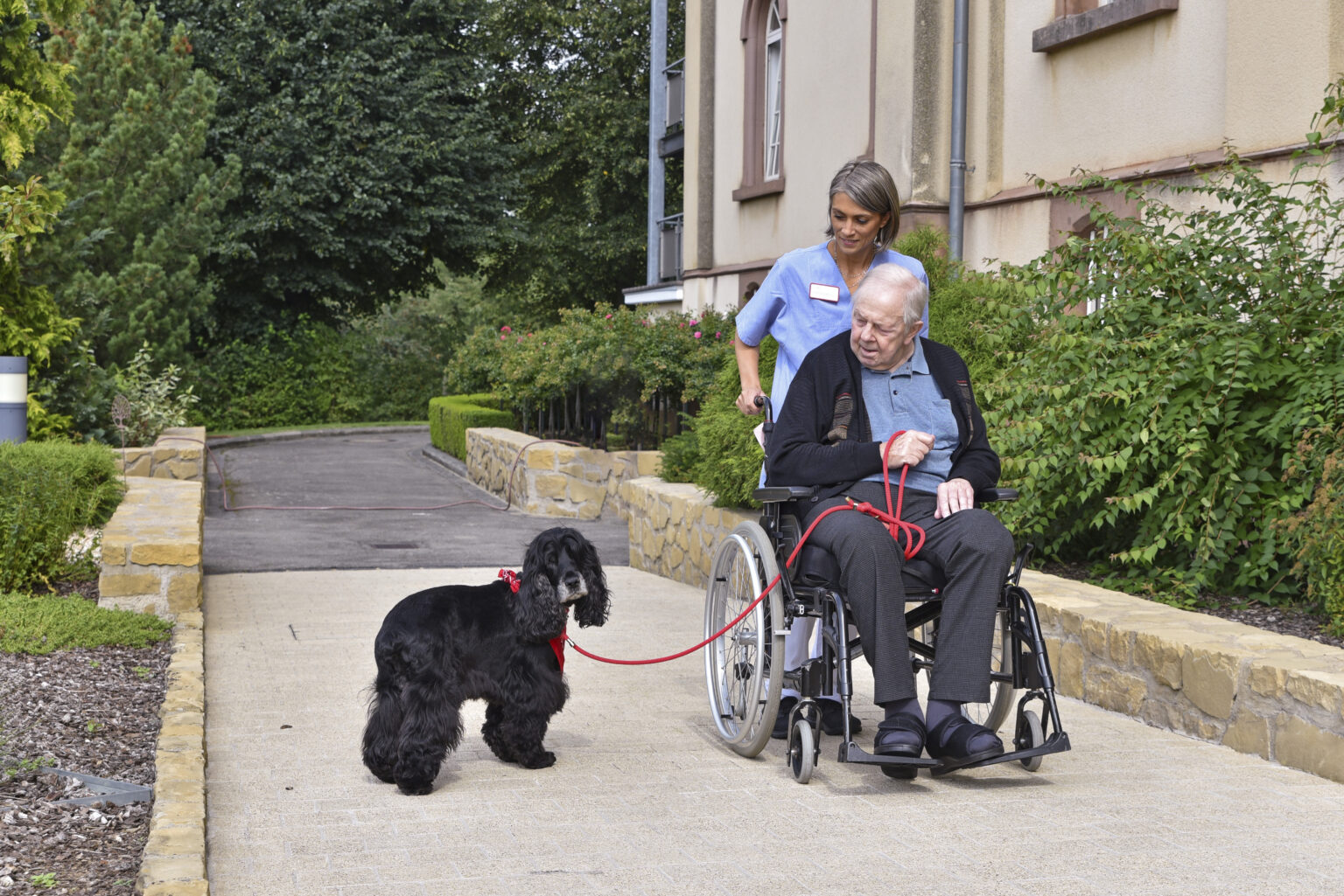 Foyer Ste Elisabeth - Senior Elisabeth
